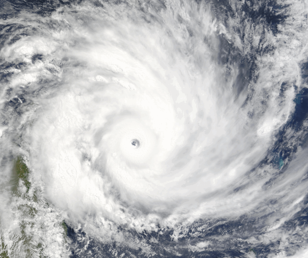 JFCS of the Suncoast awarded $50,000 grant from the Community ...